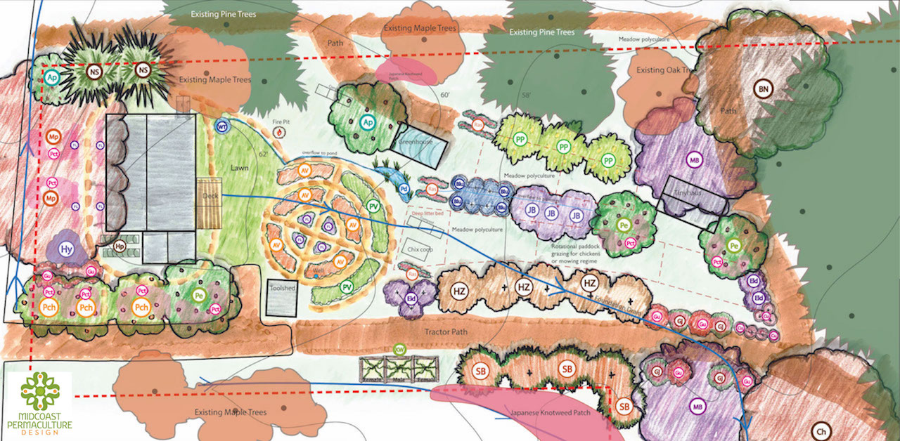 Midcoast Permaculture